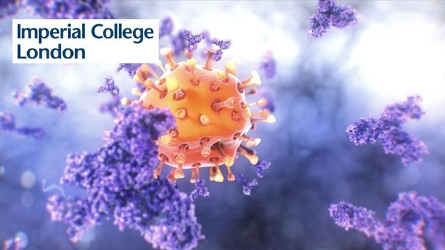 Course: Immunology: The Immune System and its Failures | RiseUpp